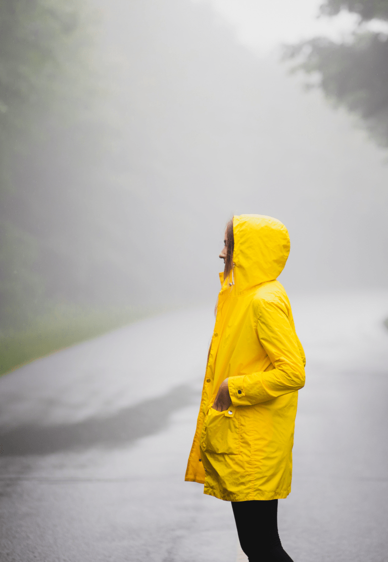 The Best Vibrant Yellow Paint Colors - West | South